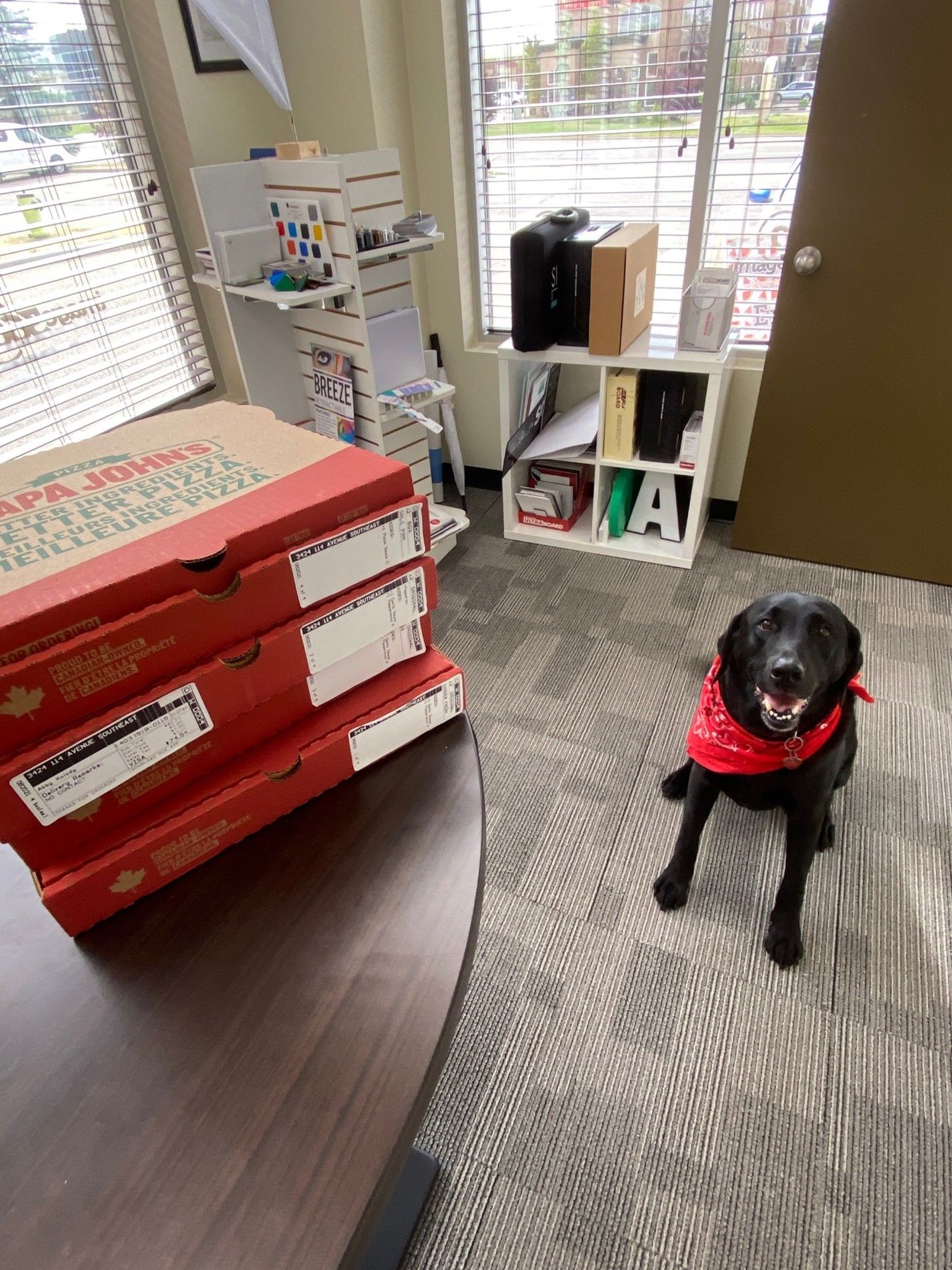 Custom signs, graphics and displays for your business | Image360 ...