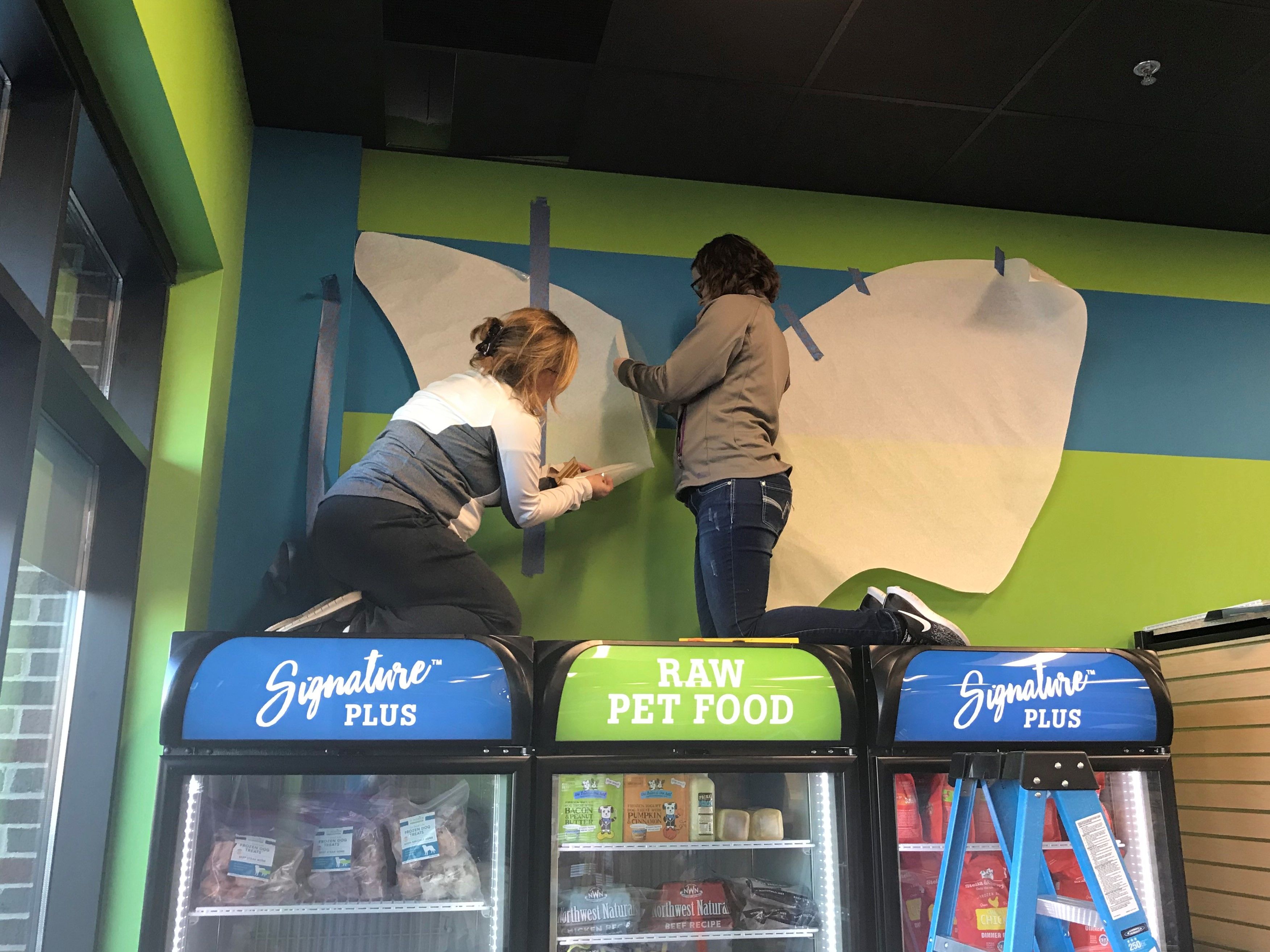 Wall Graphics and Lettering Applications - Install Wall Graphics and ...